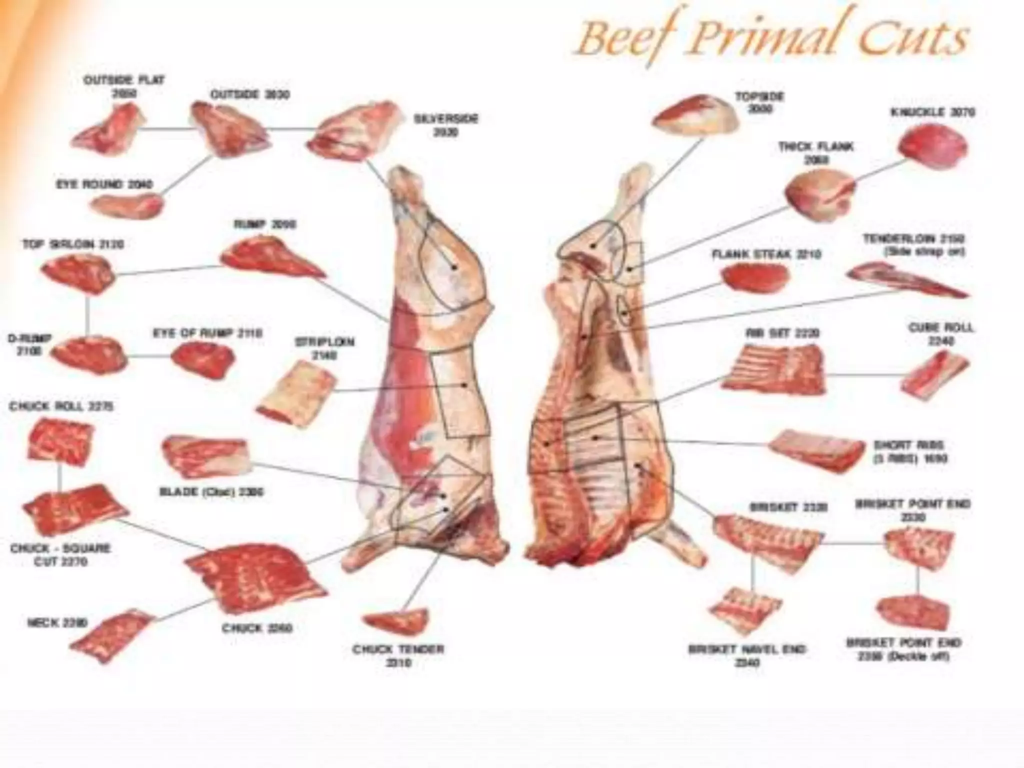 Beef cookery technique | PPT
