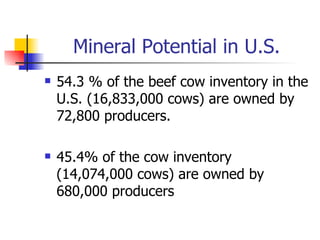 Beef Cow Mineral Business | PPT