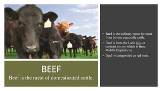 Beef | PPTX
