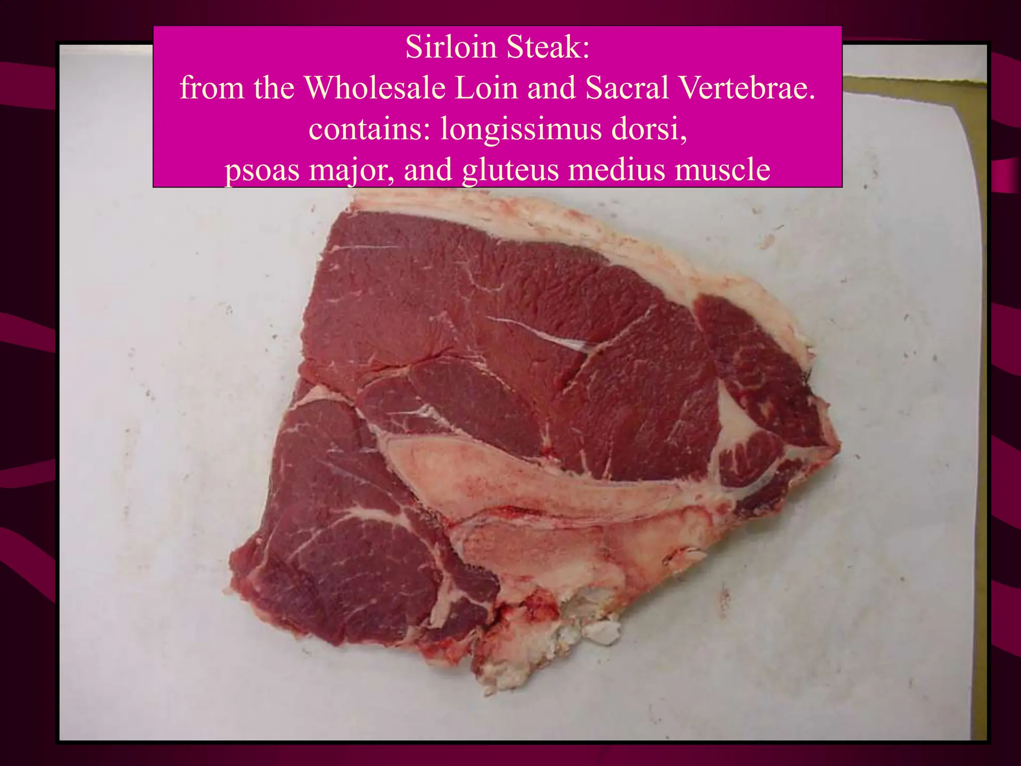 Beef Production | PPT