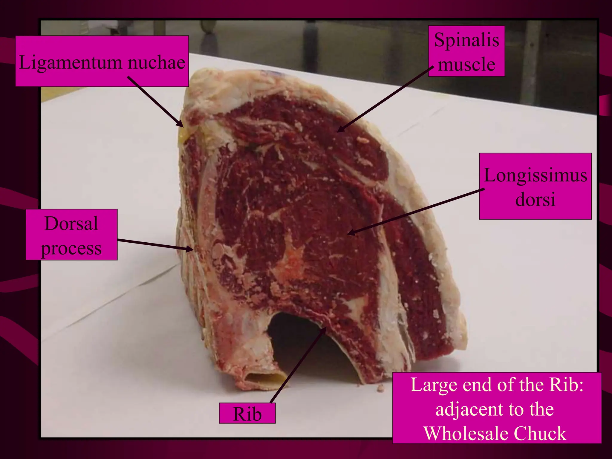 Beef Production | PPT