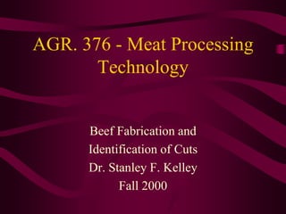 Beef Production | PPT