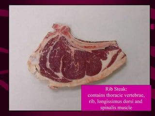 Beef Production | PPT