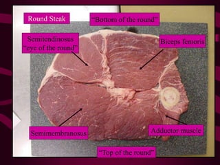 Beef Production | PPT