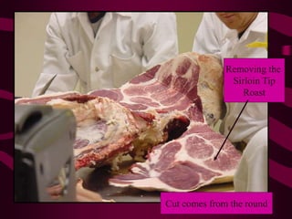 Beef Production | PPT