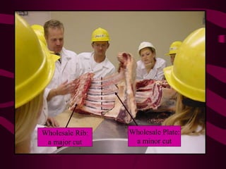 Beef Production | PPT