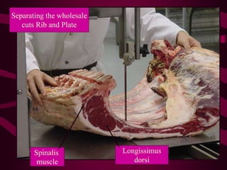 Beef Production | PPT