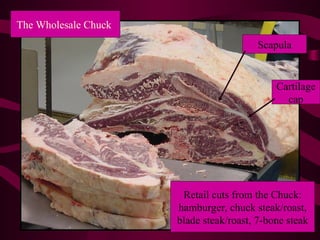 Beef Fabrication: Meat Processing Technology | PPT