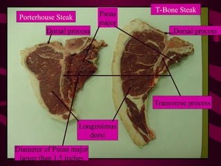 Beef Fabrication: Meat Processing Technology | PPT