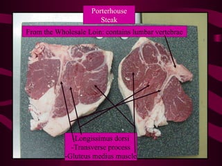 Beef Fabrication: Meat Processing Technology | PPT