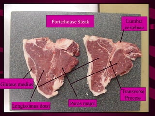 Beef Fabrication: Meat Processing Technology | PPT