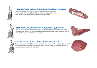 Beef front quarter | PDF