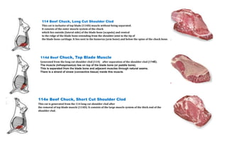 Beef front quarter | PDF
