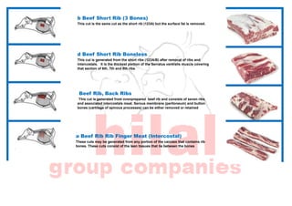 Beef front quarter | PPT