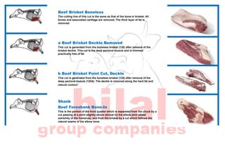 Beef front quarter | PPT