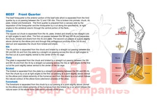 Beef front quarter | PPT