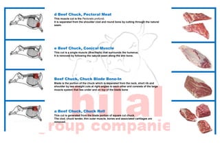 Beef front quarter | PPT