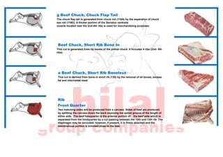 Beef front quarter | PPT