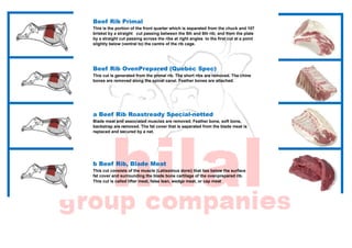 Beef front quarter | PPT