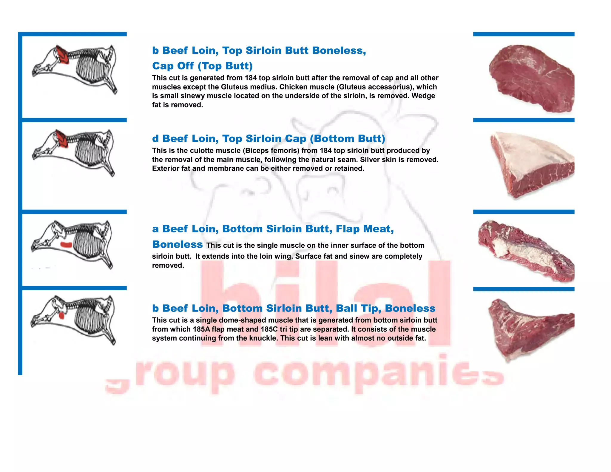 Beef hind quarter | PDF