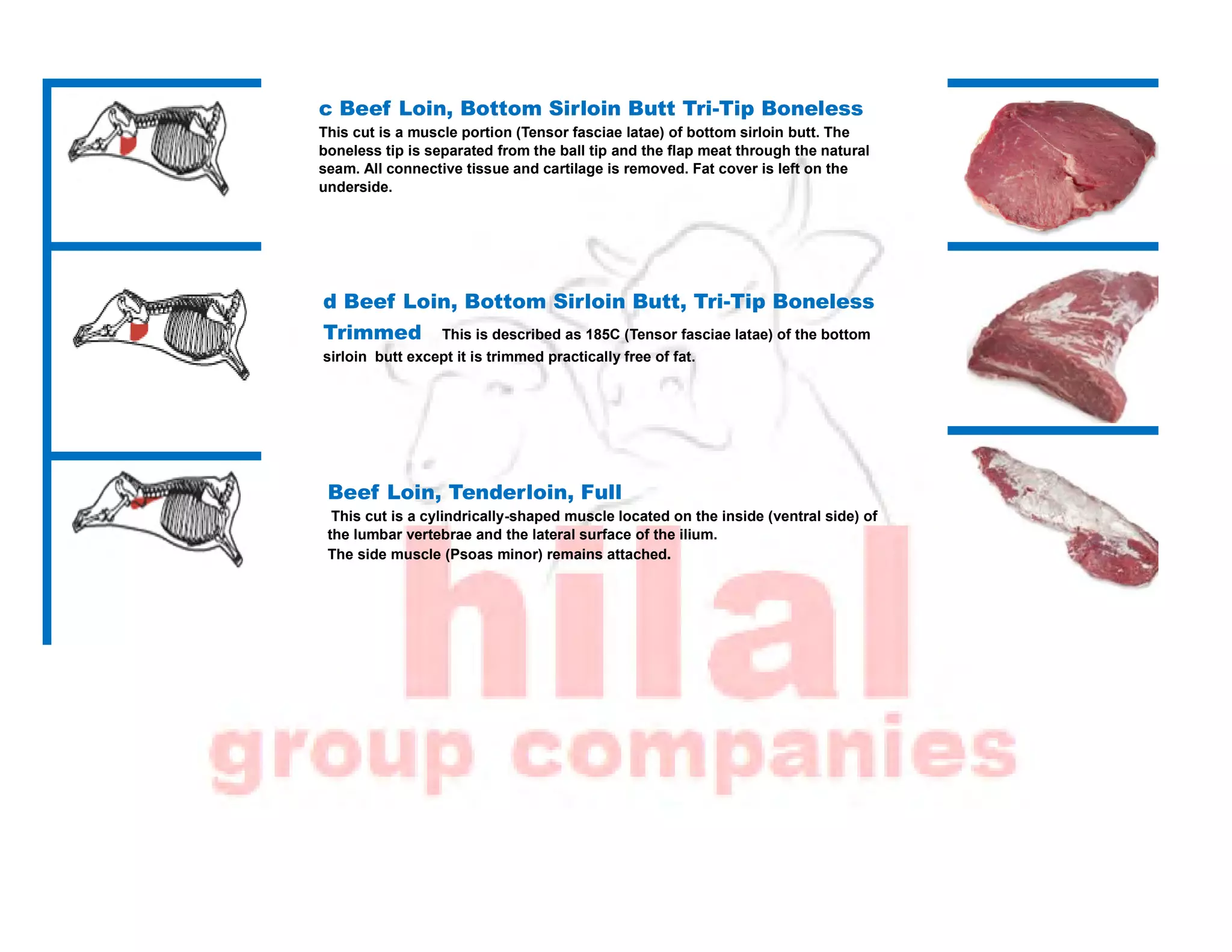 Beef hind quarter | PDF