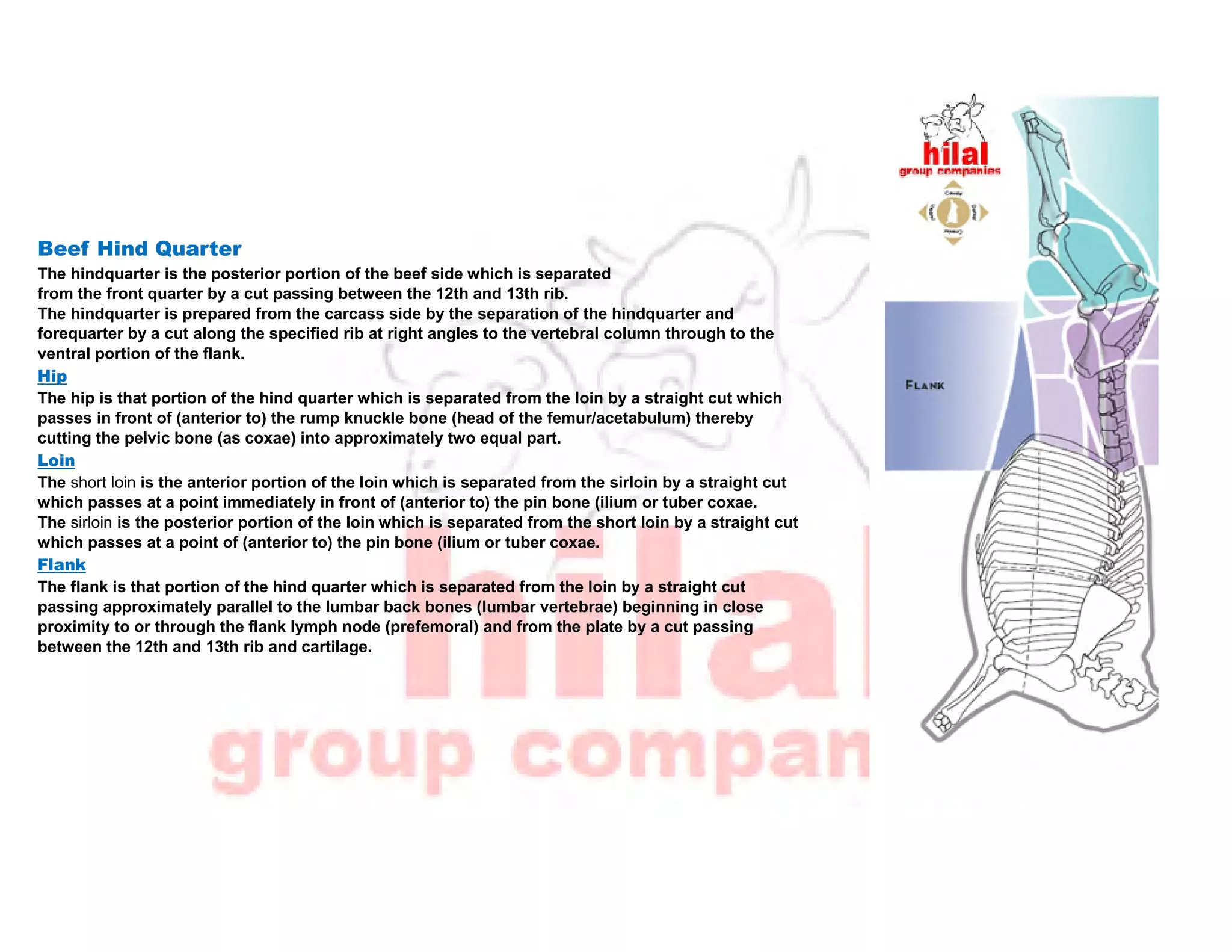 Beef hind quarter | PDF