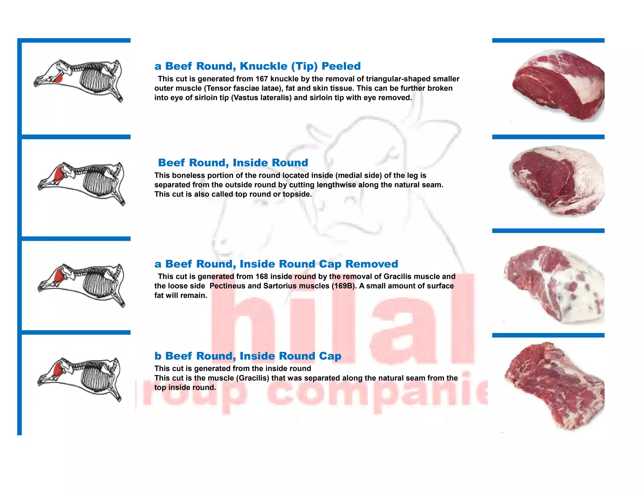 Beef hind quarter | PDF
