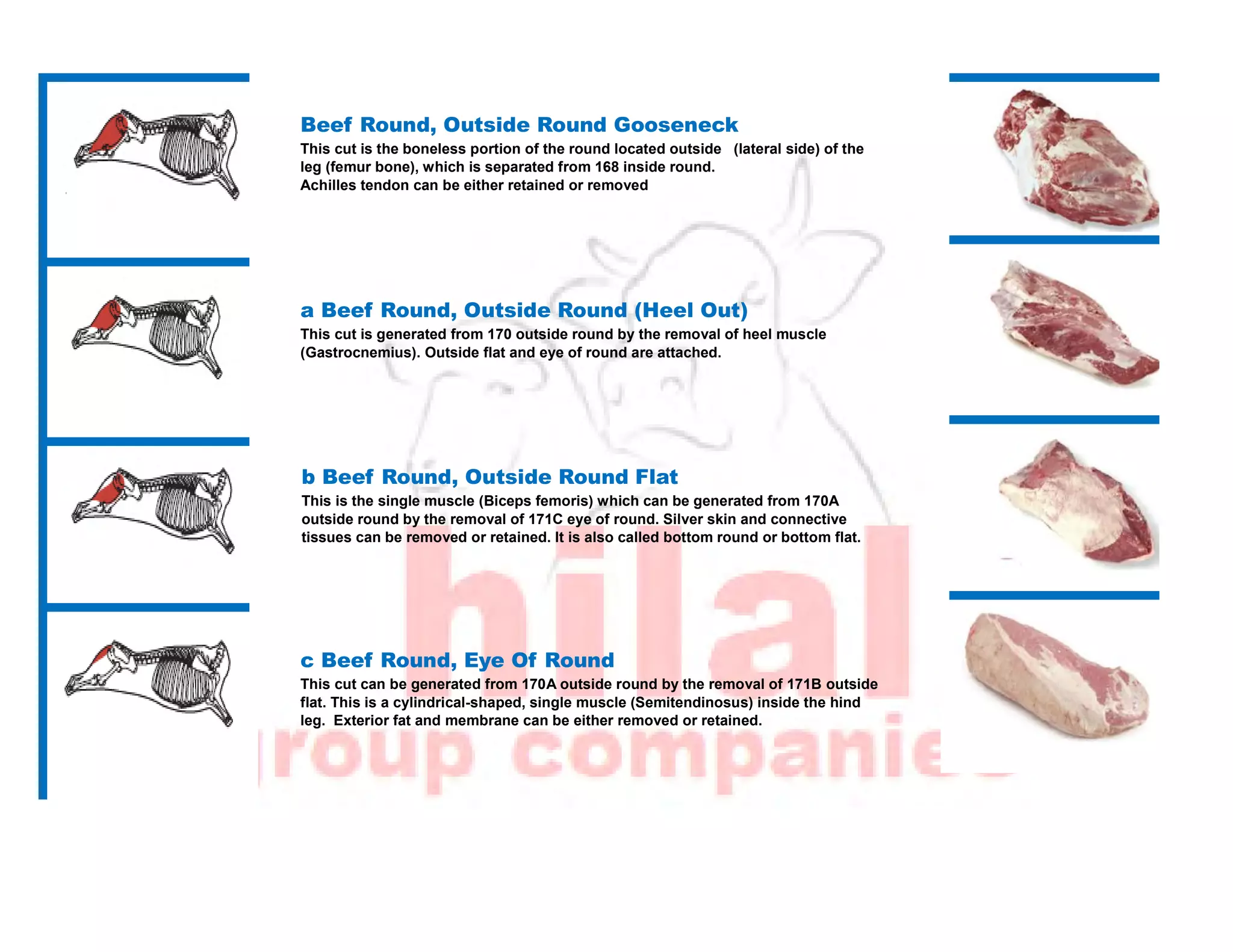 Beef hind quarter | PDF