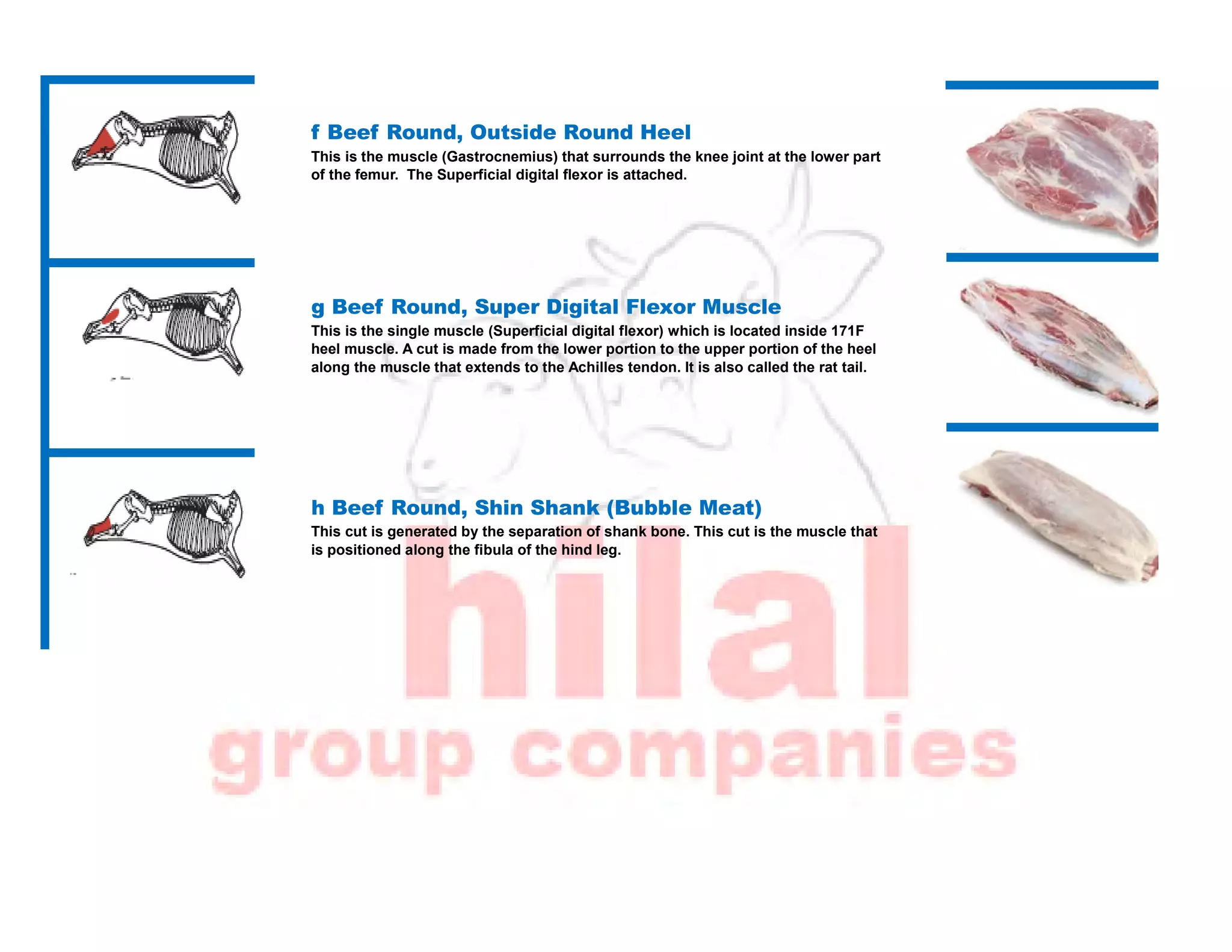 Beef hind quarter | PDF