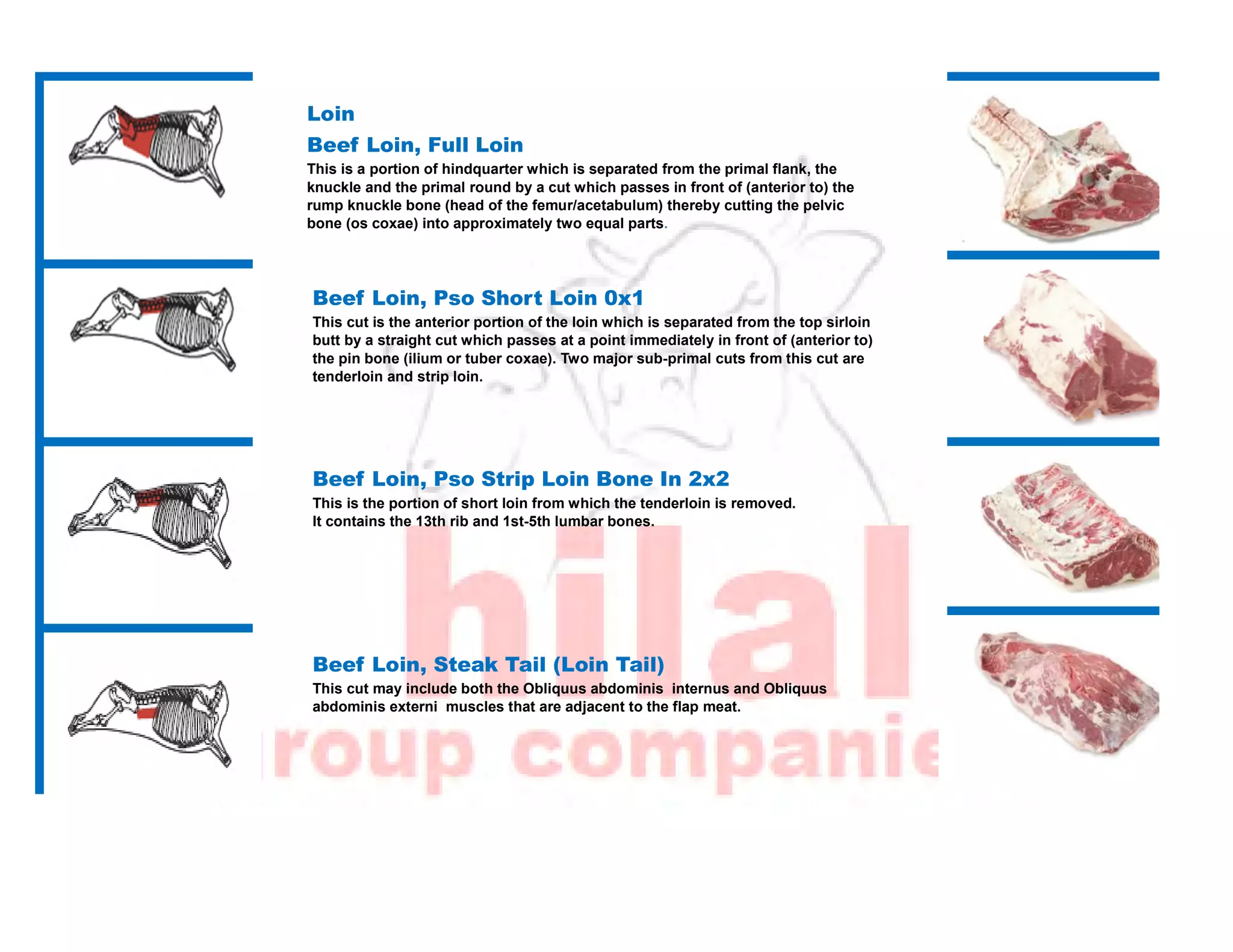 Beef hind quarter | PDF