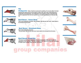 Beef hind quarter | PDF
