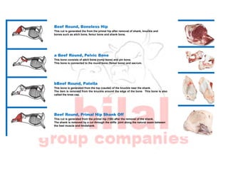 Beef hind quarter | PDF