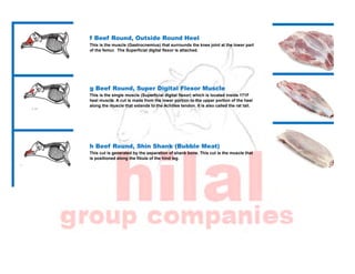 Beef hind quarter | PDF