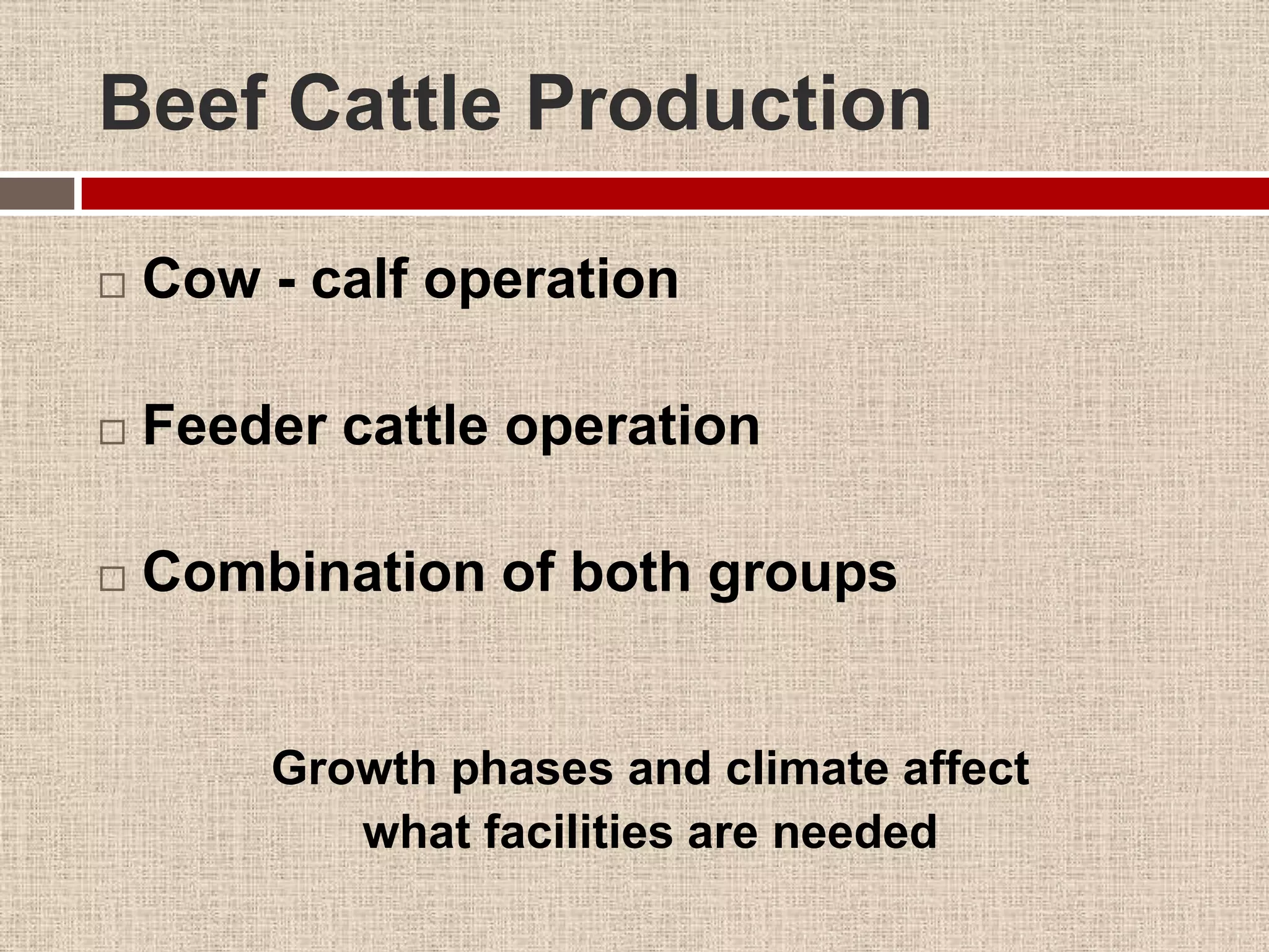 Beef housing and facilities | PPTX