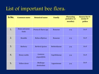 Bee flora | PPTX | Beekeeping | Hobbies & Interests