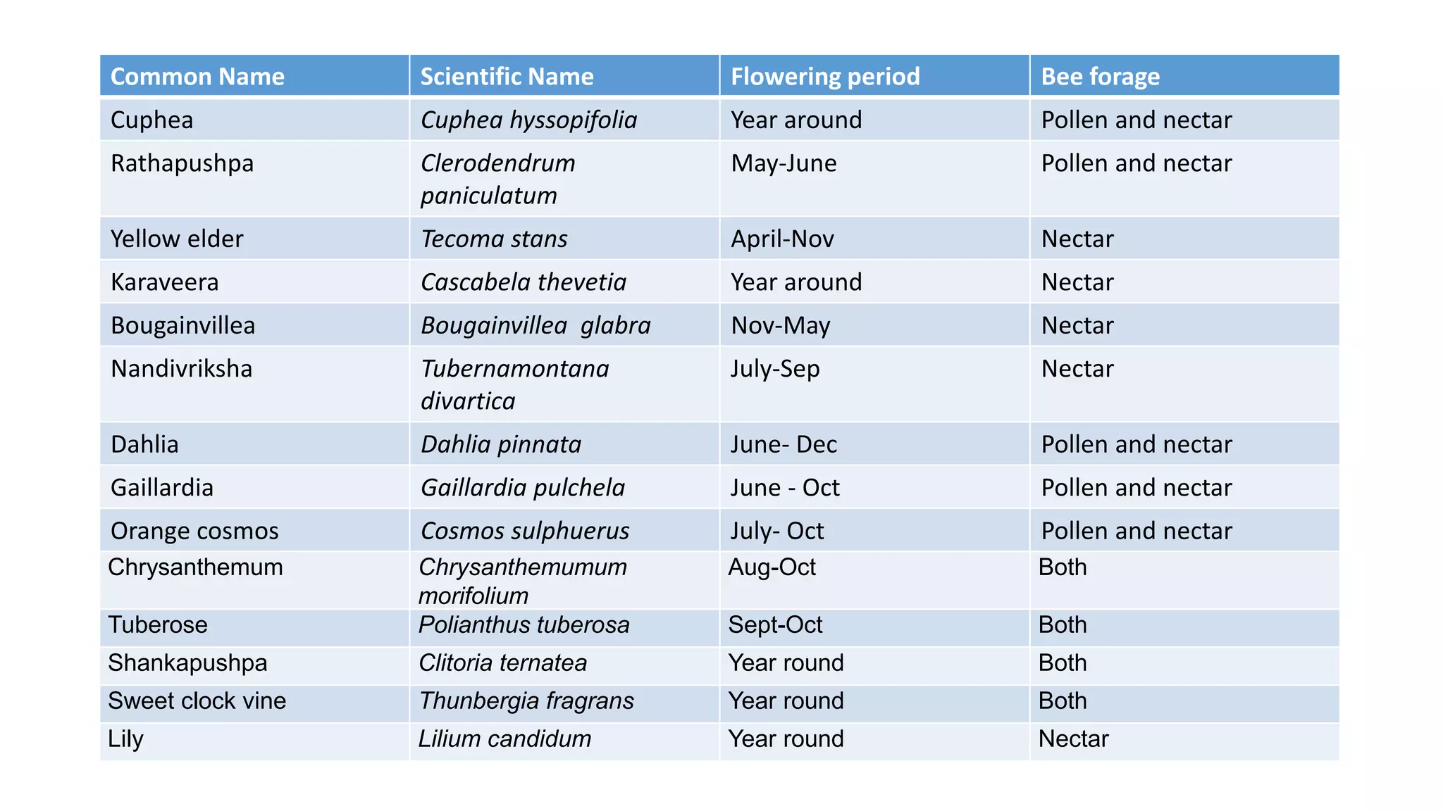 Bee floral plants in India | PPTX