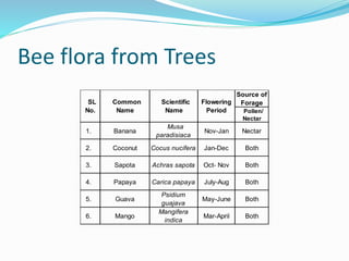 Bee flora | PPTX