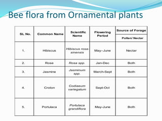 Bee flora | PPTX
