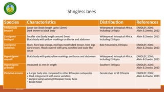 list of Ethiopian honey and stingless bee species.pptx