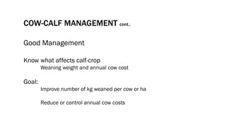 Beef production cow calf weaner | PDF