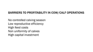 Beef production cow calf weaner | PDF