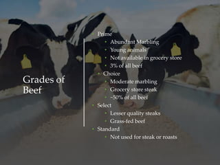 Beef PT1.pptx