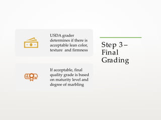 Beef PT1.pptx