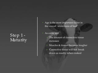 Beef PT1.pdf