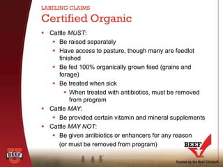 Beef U - Industry History | PPTX