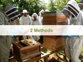 Honey bee health: mapping, analysis and improved understanding of ...
