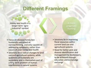Honey bee health: mapping, analysis and improved understanding of ...