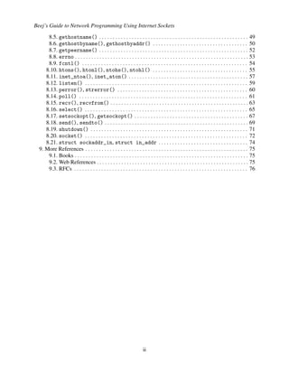 Beej Guide Network Programming | PDF