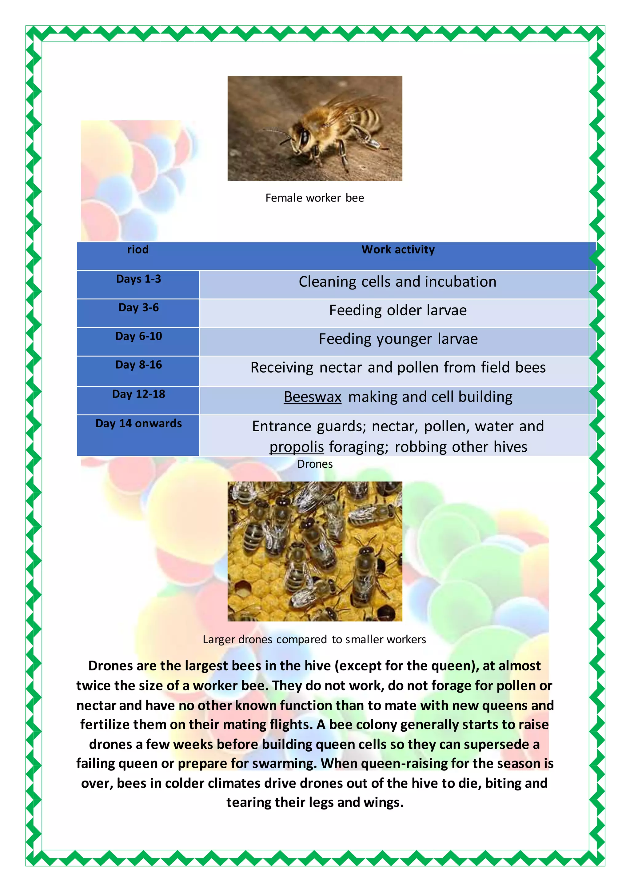 Beekeeping | DOCX
