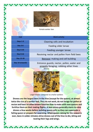 Beekeeping | DOCX